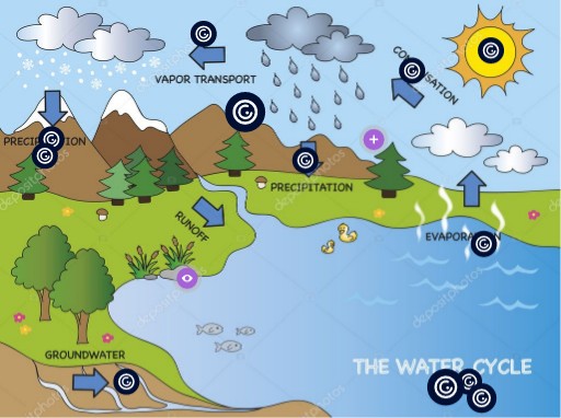 interactive water cycle