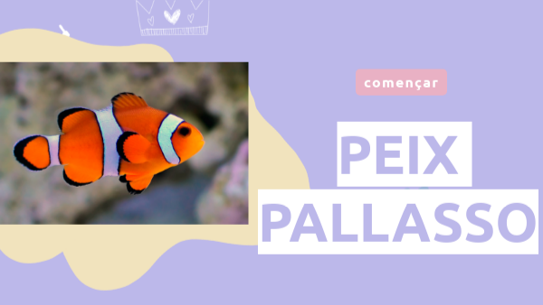 DESRIPCIÓ PEIX PALLASSO | Genially