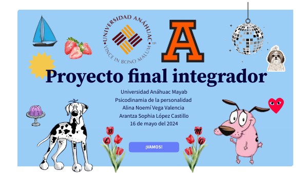 Proyecto final integrador