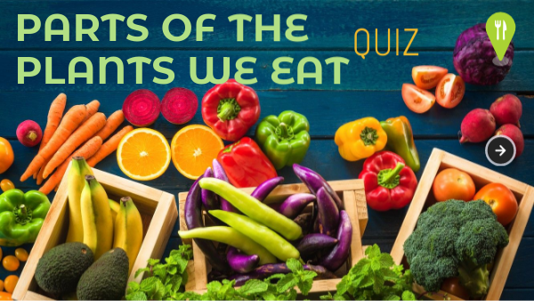 Parts of a plant we eat-Quiz | Genially