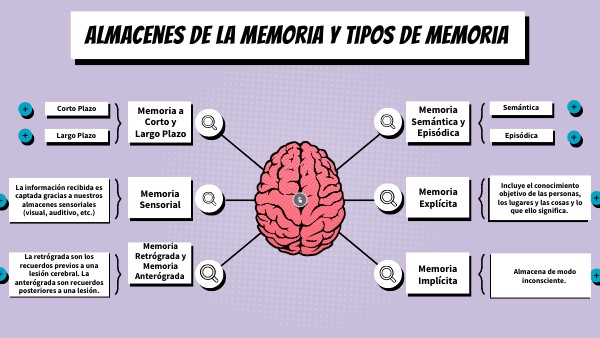 Almacenes y Tipos de Memoria | Genially