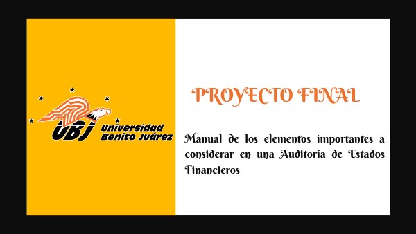 PROYECTO FINAL: AUDITORIA DE ESTADOS FINANCIEROS | Genially