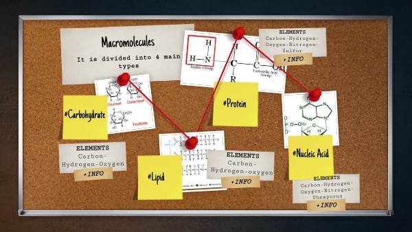 Macromolecules