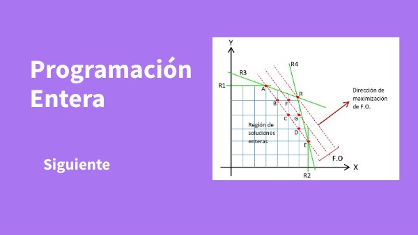 Programación Entera