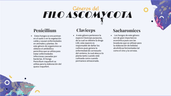 Géneros del Filo ASCOMYCOTA