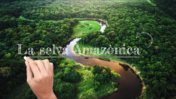 La Selva Amazònica