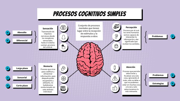PROCESOS COGNITIVOS SIMPLES | Genially