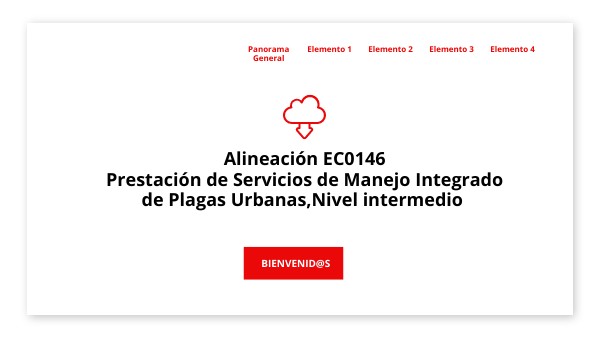 Alineación EC0146 Nov21