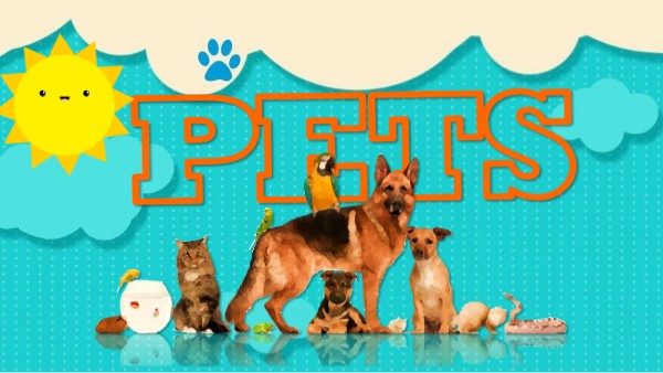 3 YEARS PETS UNIT 6