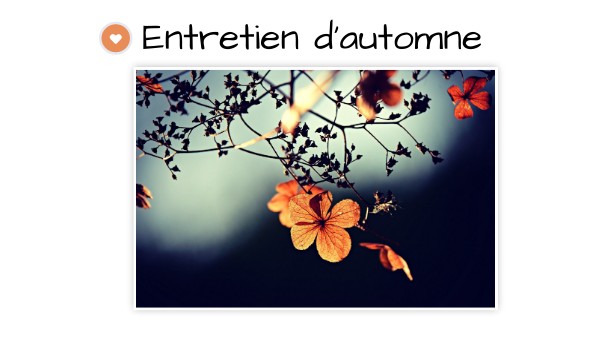 ENTRETIEN D'AUTOMNE | Genially