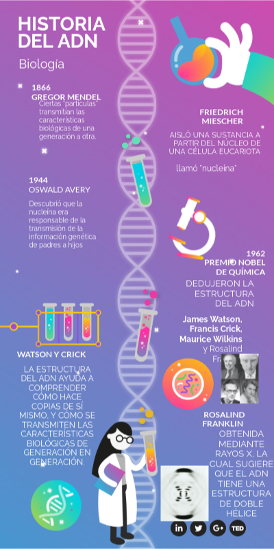 HISTORIA DEL ADN | Genially