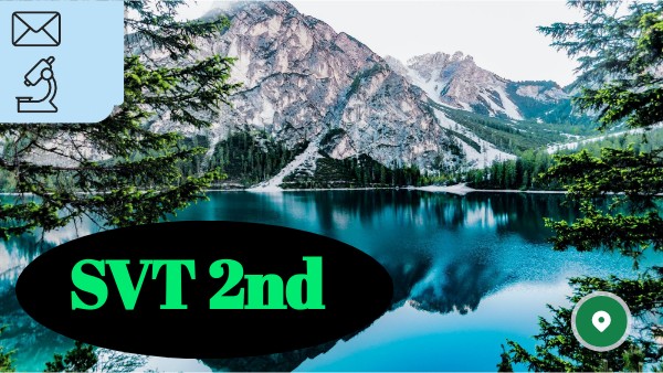 SVT 2nd