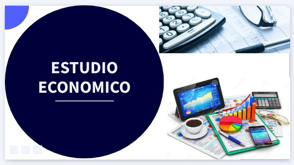 ESTUDIO ECONOMICO