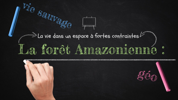 La forêt Amazonienne | Genially