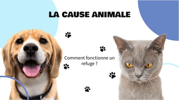 Cause animale | Genially
