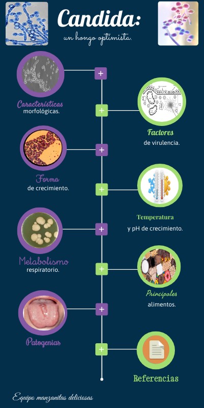 Candida: un hongo optimista.