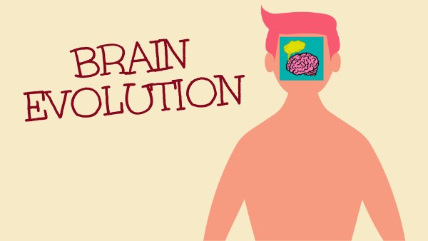 BRAIN EVOLUTION | Genially