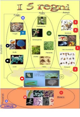 I 5 regni della Natura | Genially