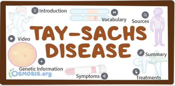 Tay Sachs disease Georgia Coffey | Genially