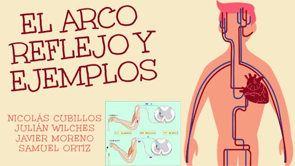 PRESENTACIÓN ARCO REFLEJO | Genially