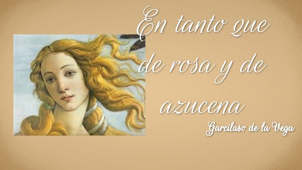 En tanto que de rosa y de azucena
