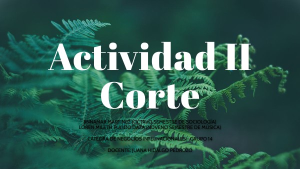 Actividad 2do Corte