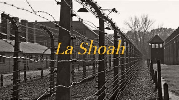 shoah
