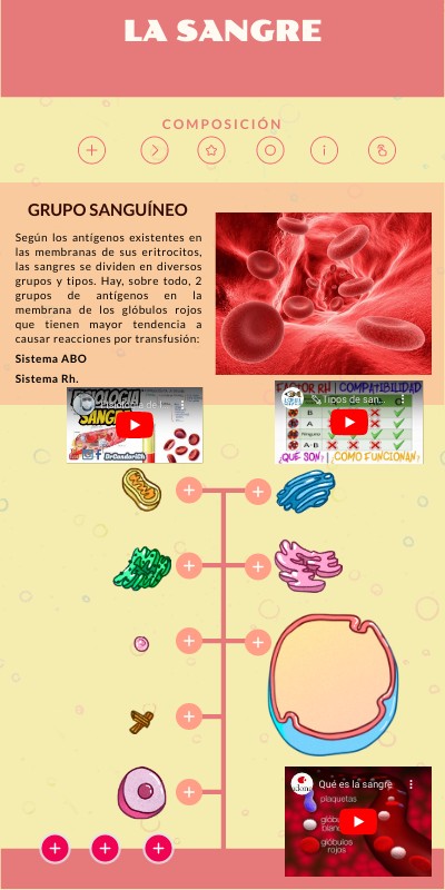 La sangre | Genially