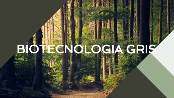 BIOTECNOLOGÍA GRIS | Genially