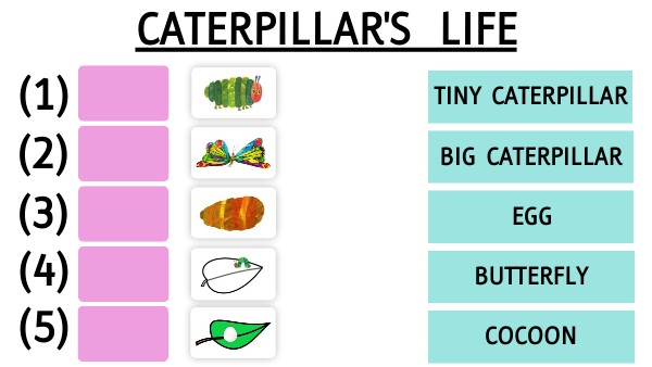 SCHOOLERS - CATERPILLAR'S LIFE | Genially