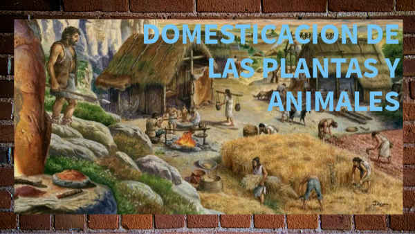 domesticacion de plantas y animales | Genially