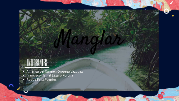 manglar
