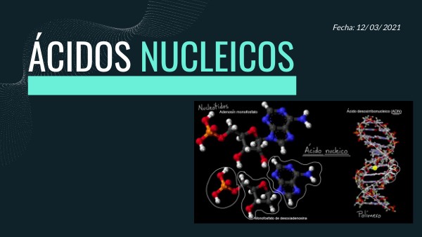 Ácidos nucleicos | Genially