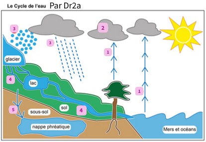 Image interactive le cycle de l'eau