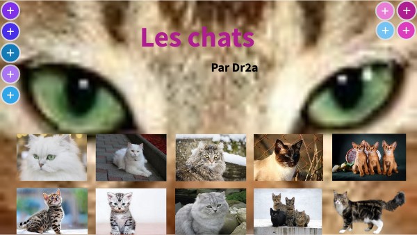 Les Races de Chats | Genially