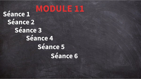 MODULE 11 CE2/CM1/CM2 | Genially