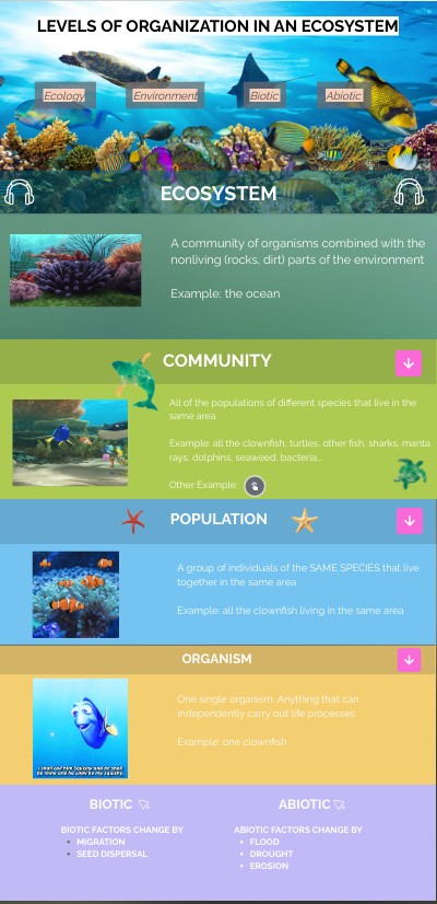 Ecology (Copy from Eisenhart)