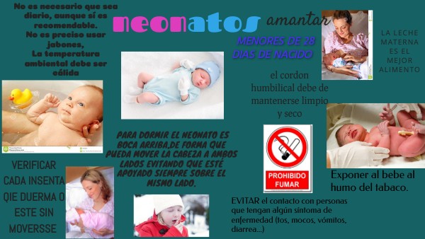 infografia neonatos | Genially