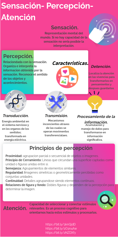 Sensación Percepción Atención | Genially