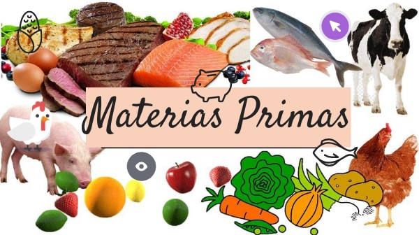 MATERIAS PRIMAS | Genially