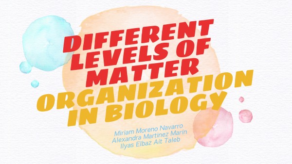 DIFFERNTS LEVELS OF MATTER ORGANISATION