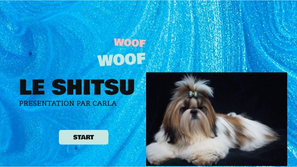 shitsu PRESENTATION