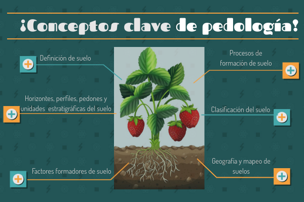 Conceptos clave de pedología