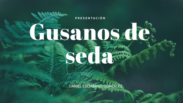 Los misterios de los gusanos de seda | Genially