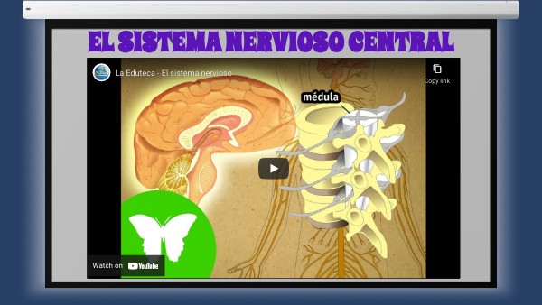 EL SISTEMA NERVIOSO CENTRAL | Genially