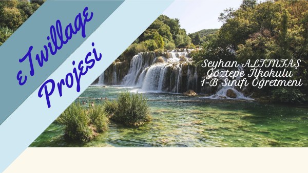 DIAGONAL PROJECT PRESENTATION | Genially