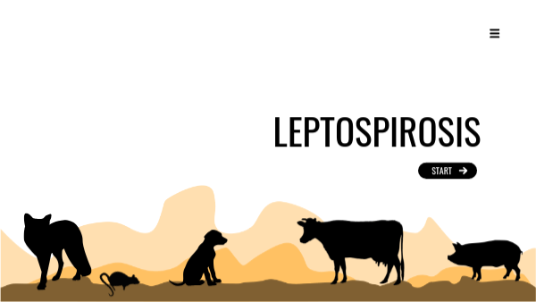 LEPTOSPIROSIS