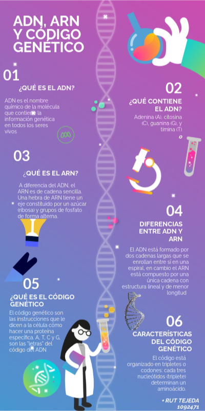 Infografía del ADN, ARN y código genético | Genially