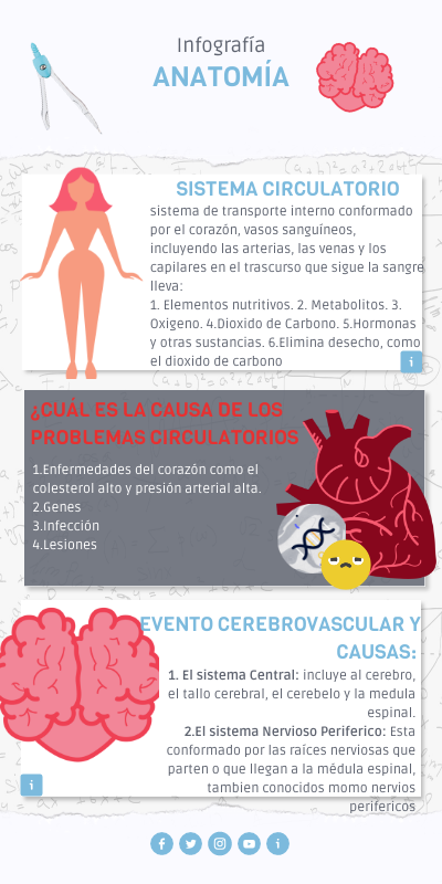 ANATOMIA 2 | Genially