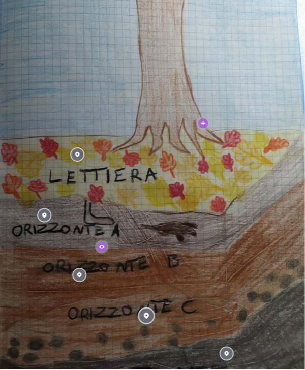 Gli strati del suolo